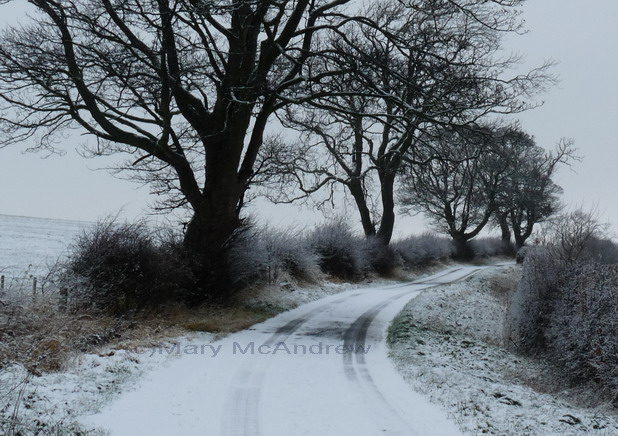 “Snowy Lane in Northumberland, England” « Mary McAndrew