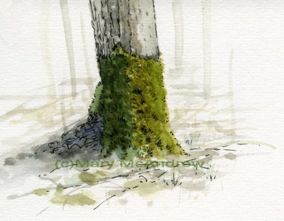 Watercolor Studies of Moss on Trees - Mary McAndrew Painting and ...